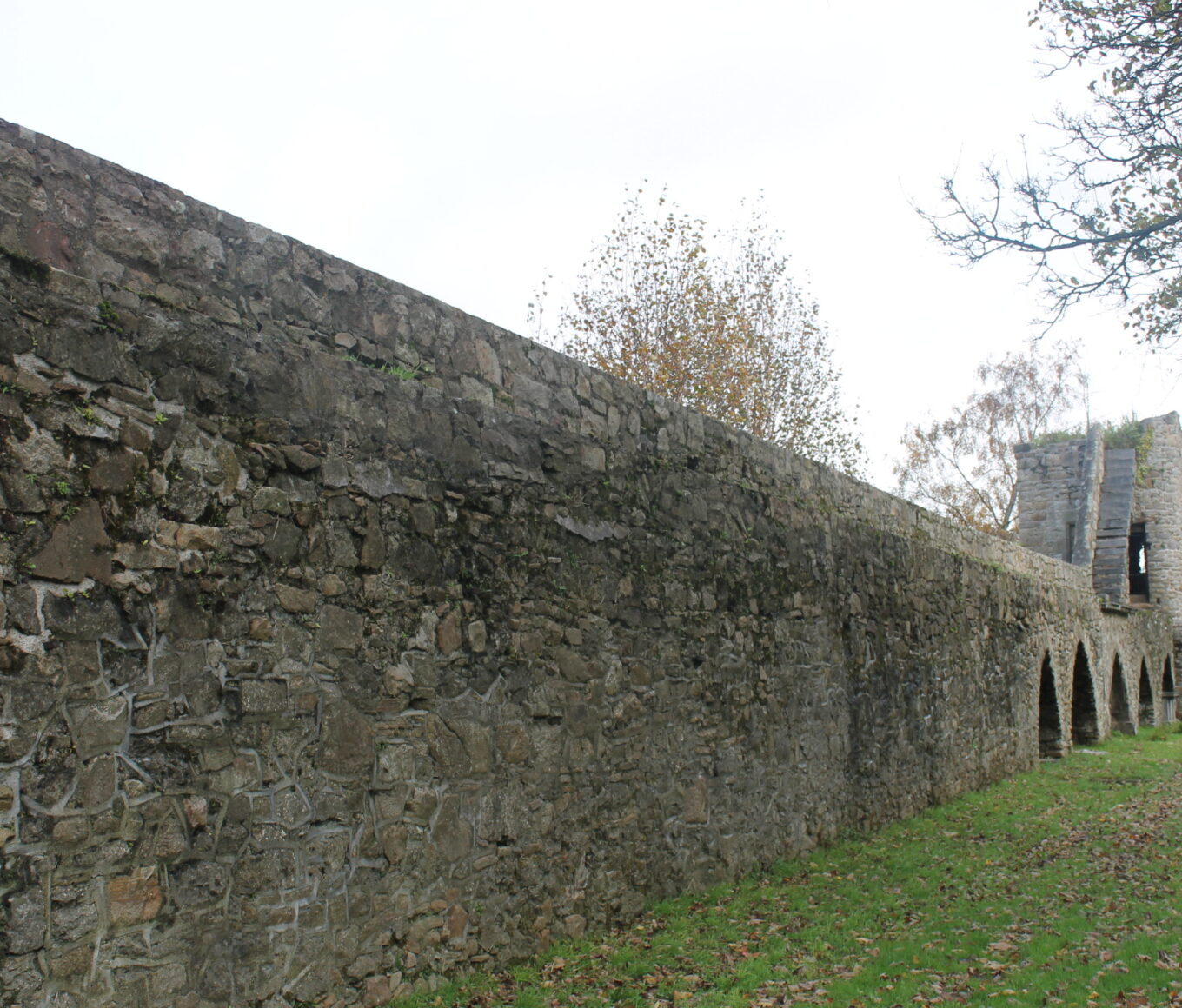 Around Our Town – Page 4 – Tipperary Library Service